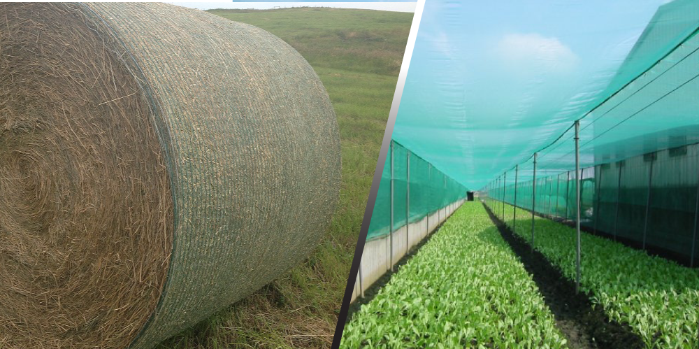 Buy Flags | Fabric & Signs Printing Experts | Yellow Mountain